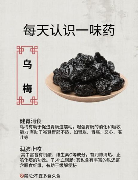 吃乌梅有什么好处_乌梅的功效与作用-第1张图片-山城妙识 吃乌梅有什么好处_乌梅的功效与作用-第1张图片-山城妙识