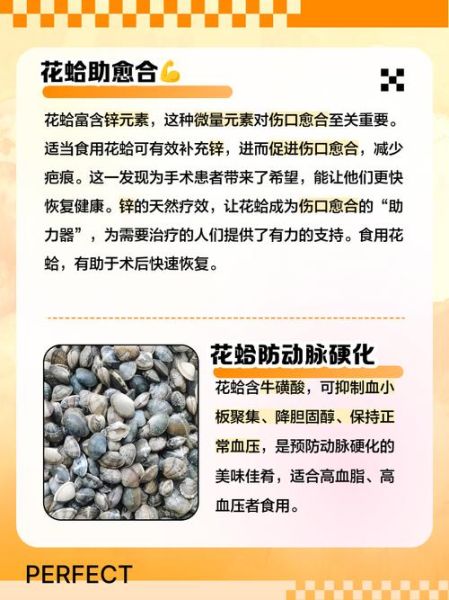 吃花蛤的好处和坏处_花蛤吃多了有什么副作用-第1张图片-山城妙识 吃花蛤的好处和坏处_花蛤吃多了有什么副作用-第1张图片-山城妙识