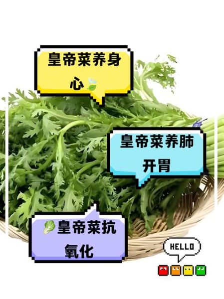 皇帝菜的功效与禁忌_皇帝菜什么人不能吃-第3张图片-山城妙识