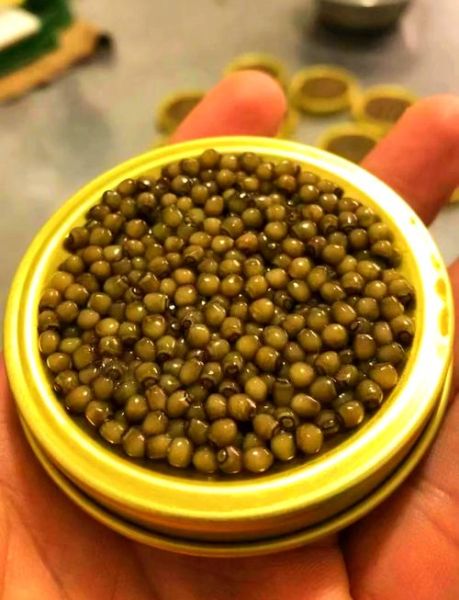 鱼子酱怎么保存_鱼子酱怎么吃才好吃-第3张图片-山城妙识