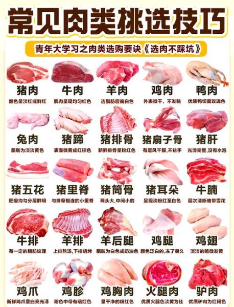 买排骨哪个部位最好_排骨部位图解怎么选-第3张图片-山城妙识