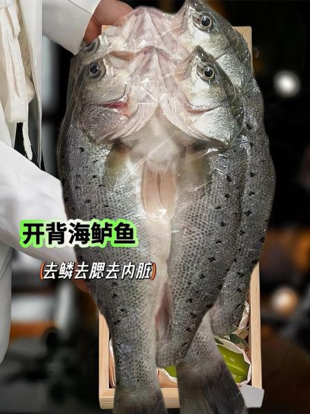 清蒸开背鱼怎么做_清蒸开背鱼最简单的做法-第3张图片-山城妙识