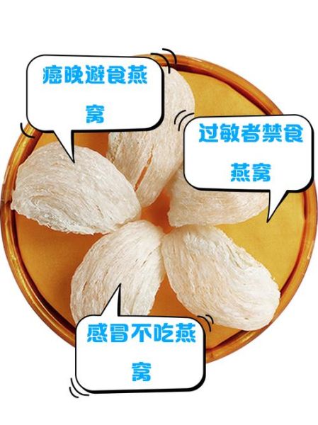 燕窝不适宜什么人吃_孕妇可以吃燕窝吗-第3张图片-山城妙识