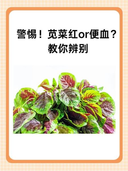 苋菜红是什么_苋菜红对人体有害吗-第1张图片-山城妙识 苋菜红是什么_苋菜红对人体有害吗-第1张图片-山城妙识