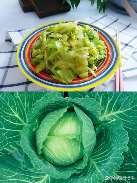 甘蓝菜科有哪些蔬菜_甘蓝菜科蔬菜怎么区分-第3张图片-山城妙识