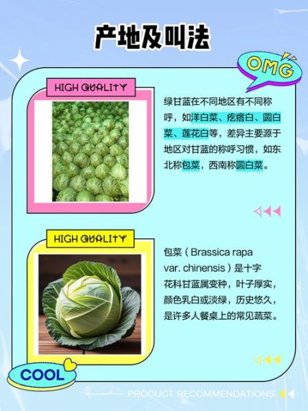 甘蓝菜科有哪些蔬菜_甘蓝菜科蔬菜怎么区分-第1张图片-山城妙识