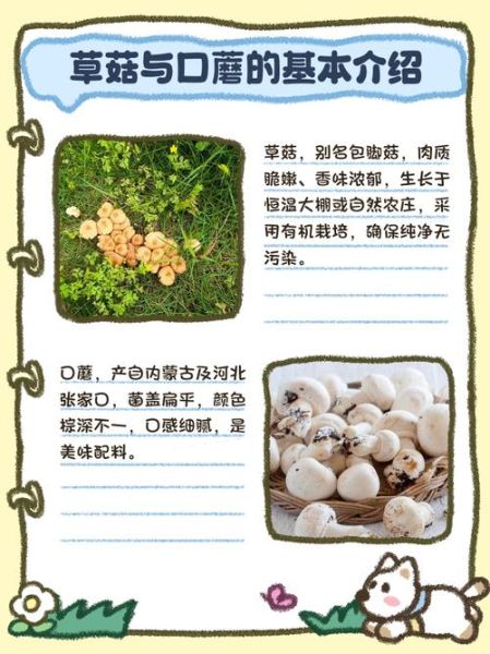 草菇不能和什么一起吃_草菇相克食物有哪些-第1张图片-山城妙识