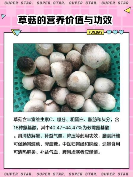 草菇不能和什么一起吃_草菇相克食物有哪些-第2张图片-山城妙识