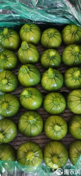 小南瓜图片大全_如何挑选高清壁纸-第2张图片-山城妙识