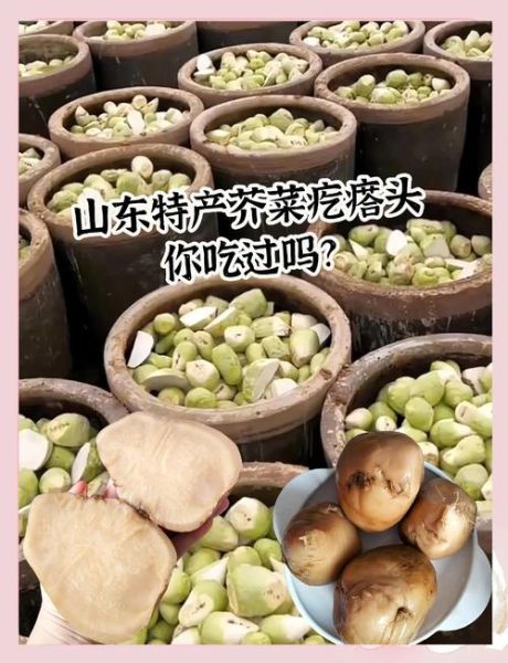 芥菜疙瘩的功效与禁忌_哪些人不能吃-第2张图片-山城妙识 芥菜疙瘩的功效与禁忌_哪些人不能吃-第2张图片-山城妙识