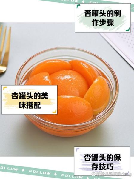 杏罐头怎么做_杏罐头保存多久-第2张图片-山城妙识