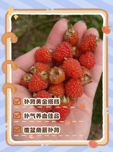 覆盆子能提高性功能吗_覆盆子壮阳效果怎么样-第3张图片-山城妙识