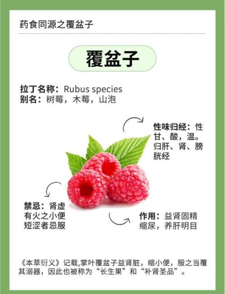 覆盆子能提高性功能吗_覆盆子壮阳效果怎么样-第1张图片-山城妙识