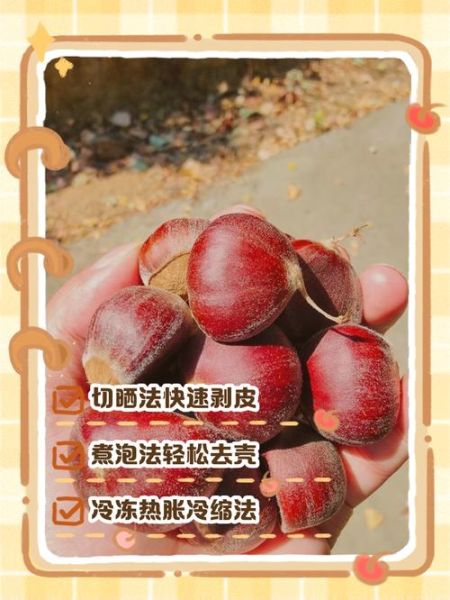 栗子怎么煮容易剥皮_栗子快速去壳方法-第2张图片-山城妙识 栗子怎么煮容易剥皮_栗子快速去壳方法-第2张图片-山城妙识