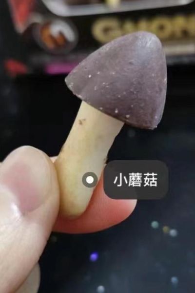 蘑古力为什么是歪的_蘑古力形状异常原因-第3张图片-山城妙识