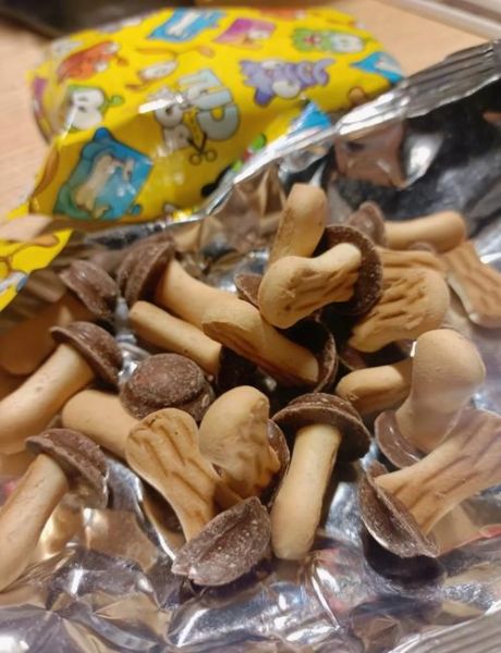 蘑古力为什么是歪的_蘑古力形状异常原因-第1张图片-山城妙识