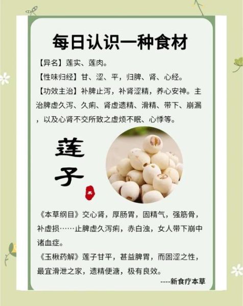 莲子功效与作用禁忌_白茅根能一起喝吗-第1张图片-山城妙识 莲子功效与作用禁忌_白茅根能一起喝吗-第1张图片-山城妙识
