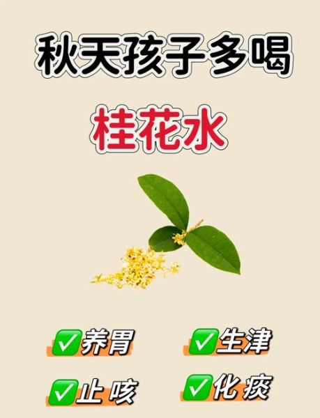 干桂花泡水喝的功效与作用_干桂花茶适合什么人喝-第2张图片-山城妙识 干桂花泡水喝的功效与作用_干桂花茶适合什么人喝-第2张图片-山城妙识