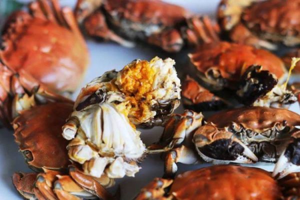 24小时之内死了的螃蟹能吃吗_死了的螃蟹多久不能吃-第1张图片-山城妙识