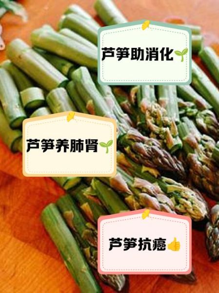 芦笋的营养价值及功效与禁忌_什么人不能吃芦笋-第2张图片-山城妙识
