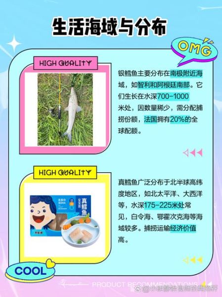 真假鳕鱼图片对比_如何一眼分辨银鳕鱼与油鱼-第3张图片-山城妙识 真假鳕鱼图片对比_如何一眼分辨银鳕鱼与油鱼-第3张图片-山城妙识