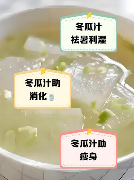 冬瓜汁怎么做_冬瓜汁减肥正确喝法-第1张图片-山城妙识