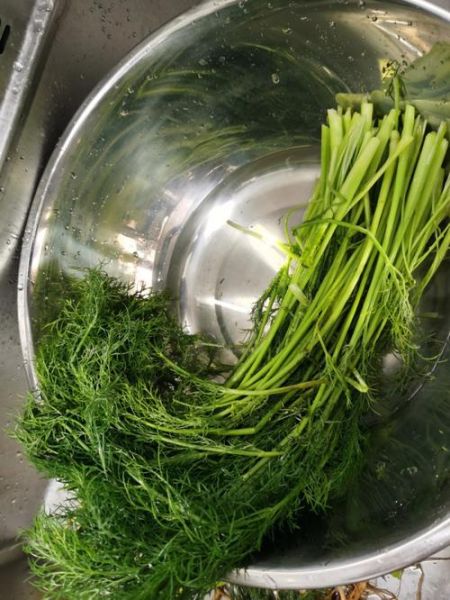 茴香包子馅怎么调_茴香包子馅的做法窍门-第2张图片-山城妙识