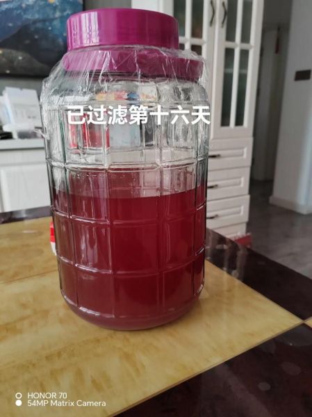 自酿葡萄酒的做法_家庭自酿葡萄酒常见问题-第2张图片-山城妙识