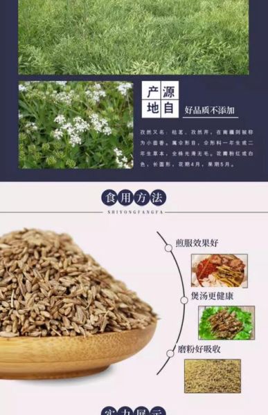 孜然粉吃多了有什么危害_孜然粉副作用有哪些-第1张图片-山城妙识 孜然粉吃多了有什么危害_孜然粉副作用有哪些-第1张图片-山城妙识