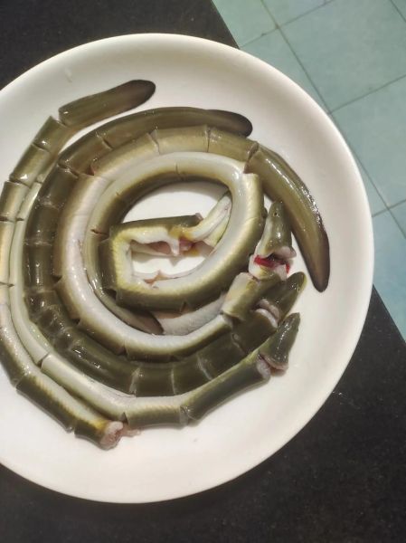 淡水鳗鱼的营养价值_淡水鳗鱼适合什么人吃-第3张图片-山城妙识