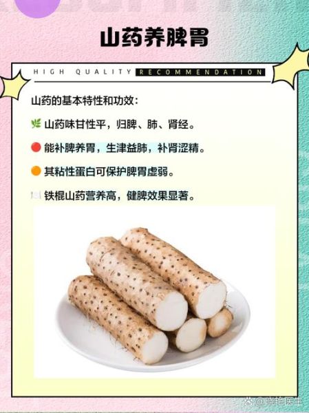 男人肾虚吃什么补得快_哪些食物补肾效果好-第1张图片-山城妙识 男人肾虚吃什么补得快_哪些食物补肾效果好-第1张图片-山城妙识