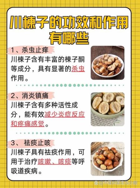 川楝子功效与作用_川楝子能杀虫吗-第1张图片-山城妙识