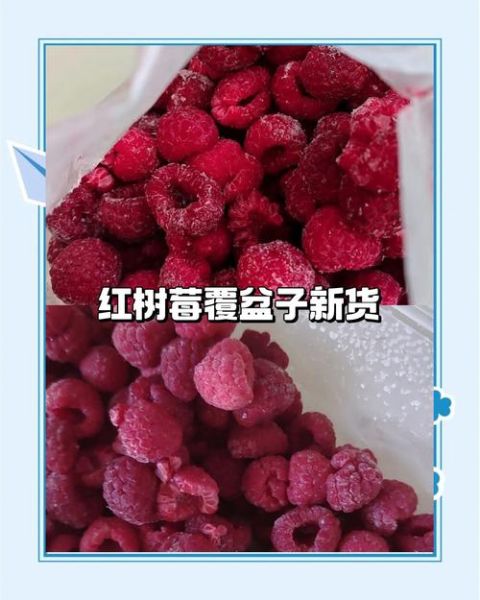 红树莓怎么吃_红树莓的正确吃法-第1张图片-山城妙识