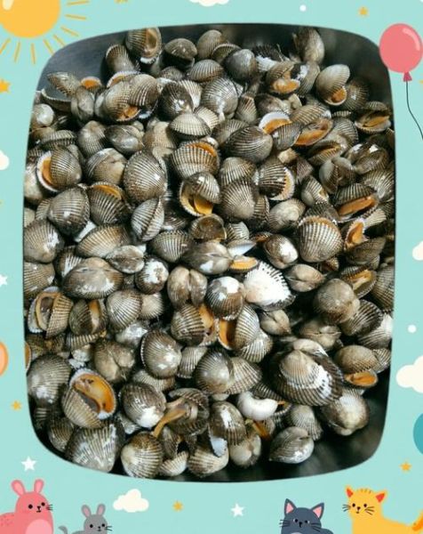 蛤蜊肉哪些部位不能吃_怎么处理最安全-第2张图片-山城妙识 蛤蜊肉哪些部位不能吃_怎么处理最安全-第2张图片-山城妙识