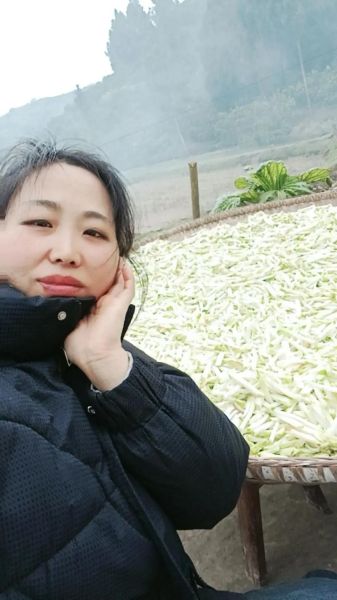 大头菜咸菜怎么腌制_大头菜咸菜的做法大全-第1张图片-山城妙识 大头菜咸菜怎么腌制_大头菜咸菜的做法大全-第1张图片-山城妙识