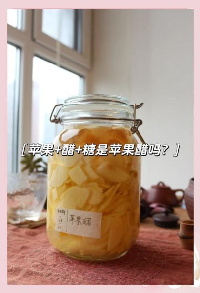 自制苹果醋的正确方法_苹果醋发酵多久能喝-第3张图片-山城妙识