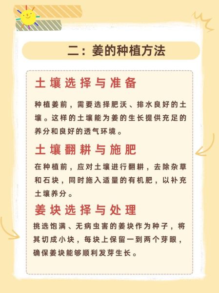 生姜怎么种_生姜种植时间和方法-第3张图片-山城妙识