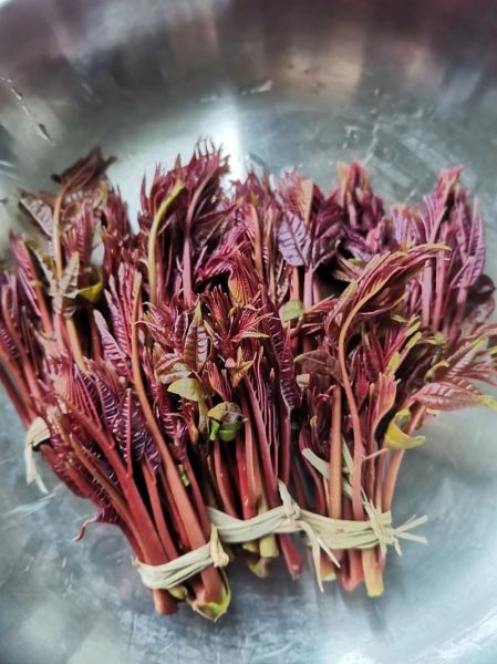 香椿芽图片_香椿芽怎么保存-第2张图片-山城妙识