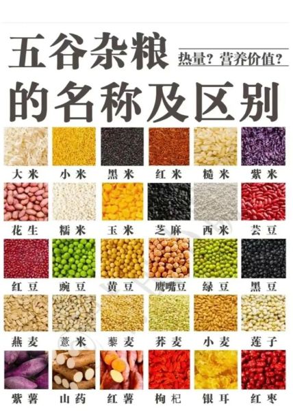 粗粮有哪些食物_粗粮和杂粮区别-第1张图片-山城妙识 粗粮有哪些食物_粗粮和杂粮区别-第1张图片-山城妙识