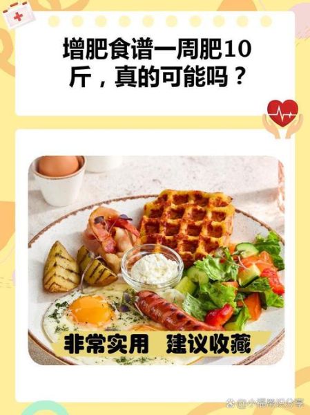 一周增肥十斤食谱_怎么吃才有效-第3张图片-山城妙识