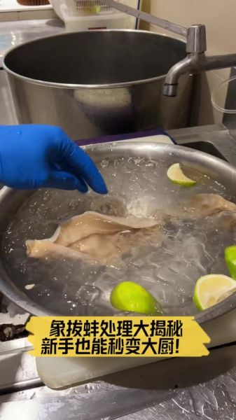 象拔蚌怎么处理_象拔蚌清洗步骤-第1张图片-山城妙识