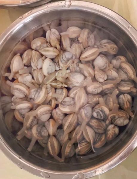 白蛤怎么快速吐沙_白蛤吐沙最快的方法-第2张图片-山城妙识 白蛤怎么快速吐沙_白蛤吐沙最快的方法-第2张图片-山城妙识