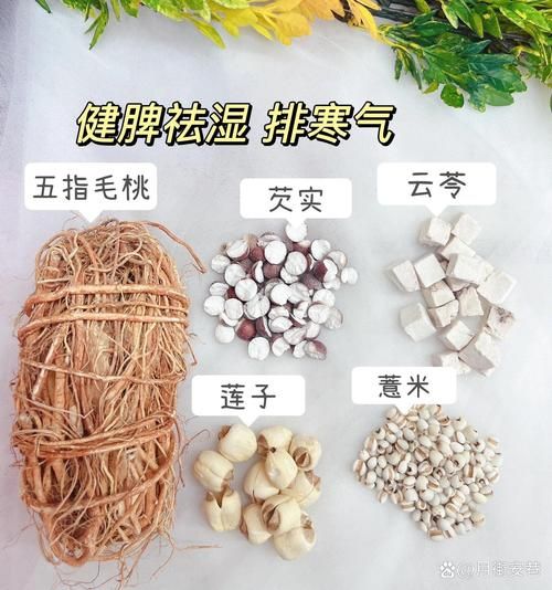 去湿气喝什么中药_湿气重吃什么中药好-第1张图片-山城妙识 去湿气喝什么中药_湿气重吃什么中药好-第1张图片-山城妙识