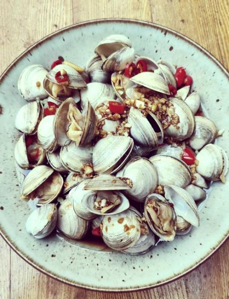 白蛤怎么快速吐沙_白蛤吐沙最快的方法-第3张图片-山城妙识 白蛤怎么快速吐沙_白蛤吐沙最快的方法-第3张图片-山城妙识