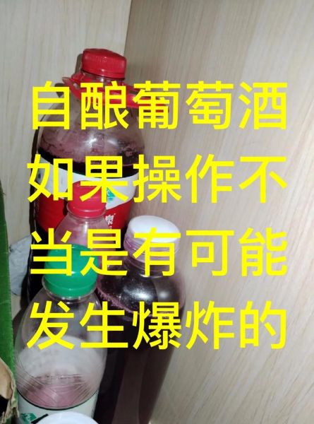 家中自制葡萄酒的做法_如何防止自酿葡萄酒发霉-第3张图片-山城妙识 家中自制葡萄酒的做法_如何防止自酿葡萄酒发霉-第3张图片-山城妙识