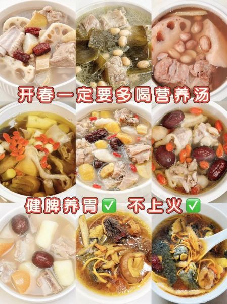 春天炖什么汤养生_春季养生汤怎么做-第1张图片-山城妙识 春天炖什么汤养生_春季养生汤怎么做-第1张图片-山城妙识
