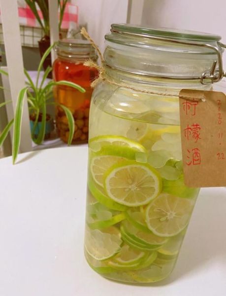 家庭自制葡萄酒怎么做_自酿葡萄酒简易步骤-第2张图片-山城妙识