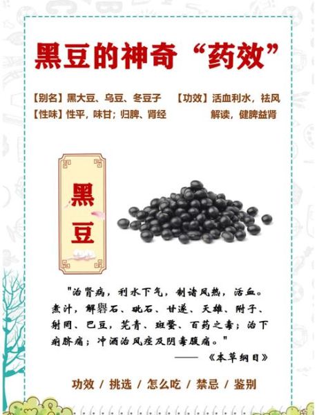 黑豆的功效与作用_黑豆的营养价值有哪些-第1张图片-山城妙识