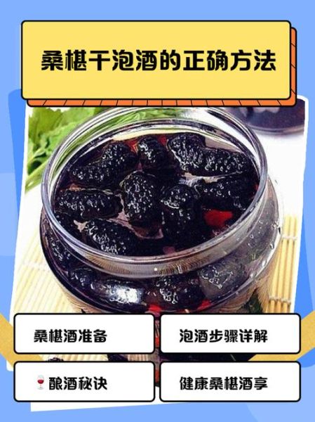 干桑葚泡酒怎样个泡法_干桑葚泡酒比例是多少-第2张图片-山城妙识