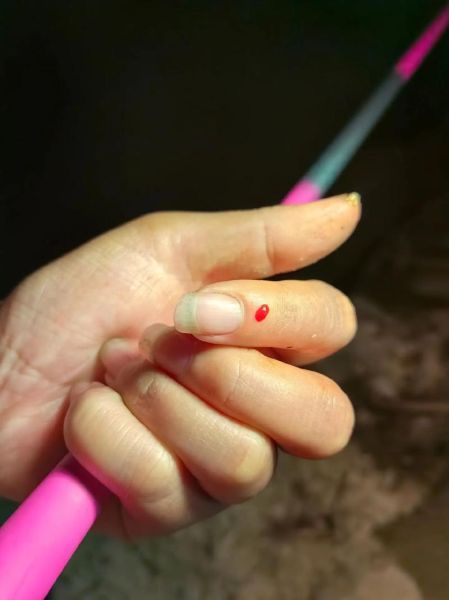 胡子鲶鱼多少钱一斤_胡子鲶鱼价格行情-第2张图片-山城妙识